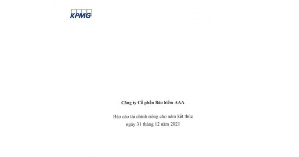 BCTC riêng lẻ năm 2021